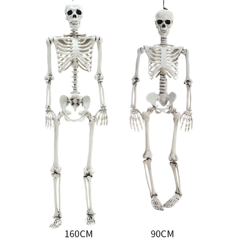 Skull Human Skeleton Prop Horror Full Size Body Anatomy Model Party Sc ...